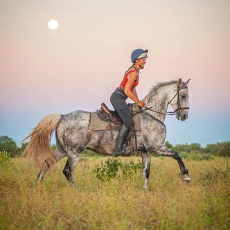Horse Riding Holidays - Far and Ride