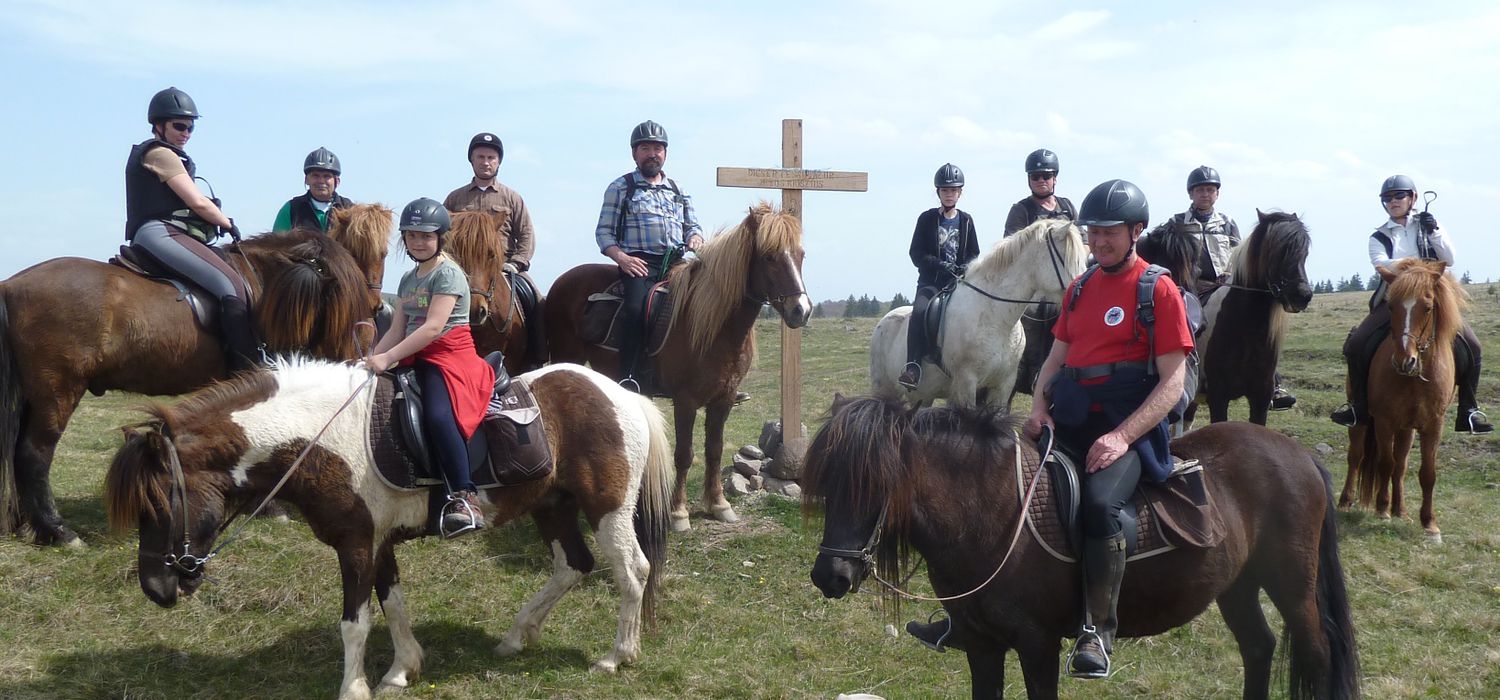 Horse riding holidays in Romania (5 destinations) - Far and Ride
