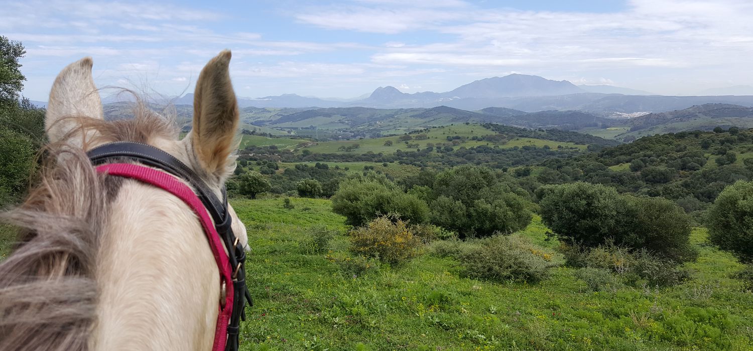 Horse riding holidays in Spain (14 destinations) - Far and Ride