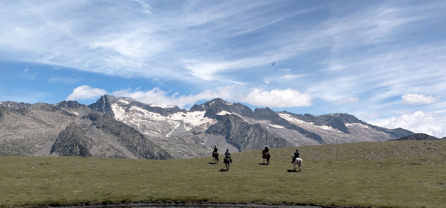 Glossary of Horse and Riding terms - Far and Ride