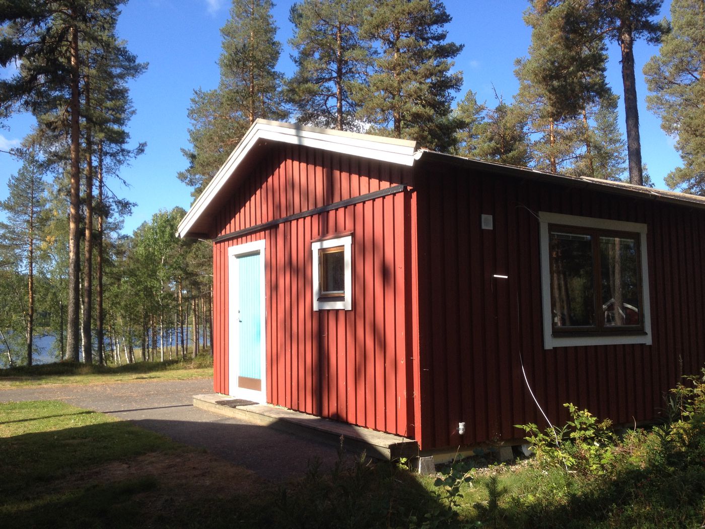 Forests of Swedish Lapland riding holiday in Sweden - Far and Ride