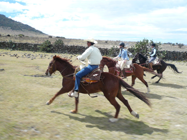 Horse riding holidays in Mexico (3 destinations) - Far and Ride
