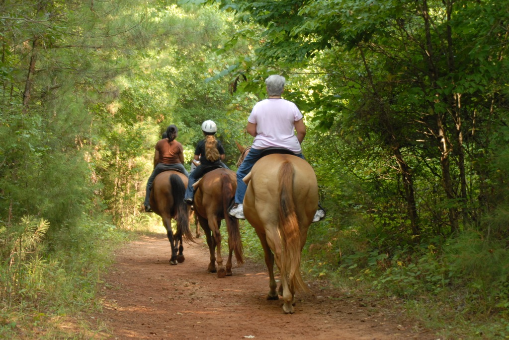 Photos of Georgia Ranch horse ride in USA