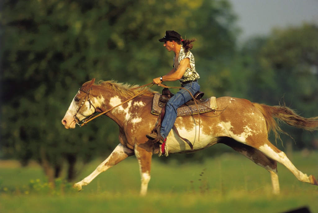 Horse riding holidays in USA (10 destinations) - Far and Ride