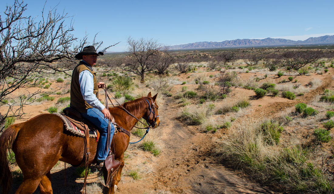 Horse riding holidays in USA (11 destinations) - Far and Ride