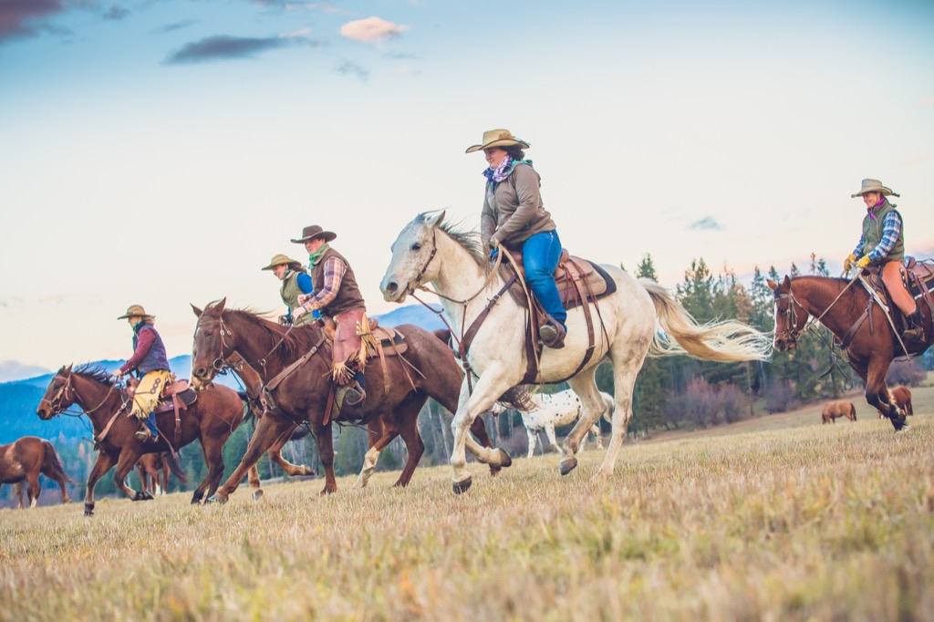 Horse riding holidays in USA (11 destinations) - Far and Ride