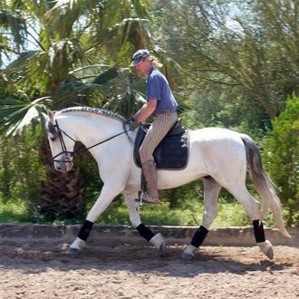 Horse riding holidays in Europe (90 destinations) - Far and Ride{