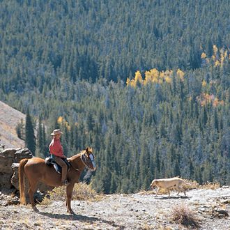 Bitterroot Ranch (Wyoming) riding holiday in USA - Far and Ride